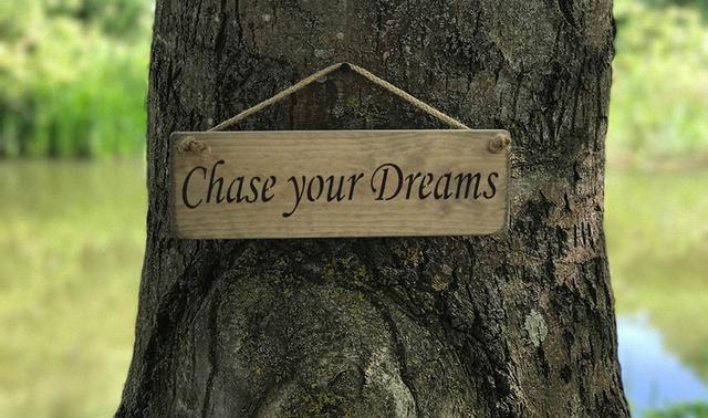 Austin Sloan Chase Your Dreams Wooden Sign | IndalOcio